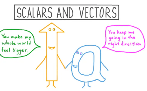 AS Physics Vectors and Scalars Quiz