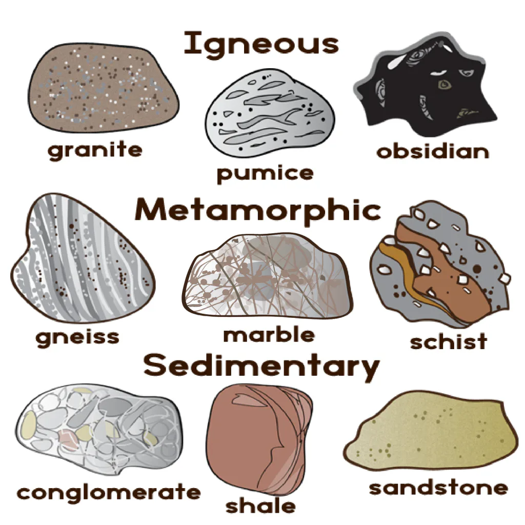 Classifying Rocks 6th Grade Quiz | Quizizz