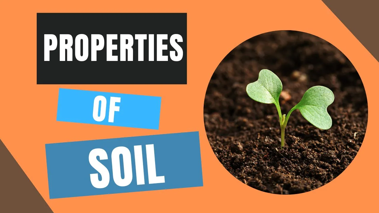 Properties of Soil Quiz