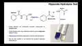 Hippurate Hydrolysis Test | Theory & Results University Video | Quizizz