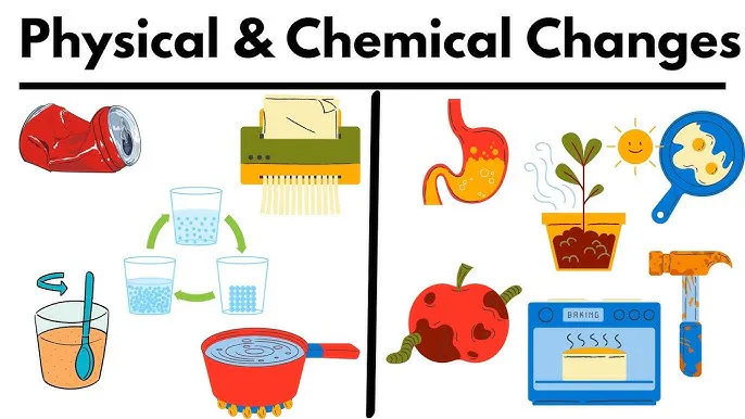 Physical and Chemical Changes 5th Grade Flashcard | Wayground