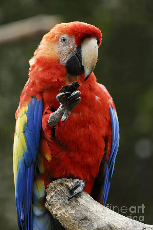 U1 W2 Vocabulary 4th Grade Quiz | Quizizz