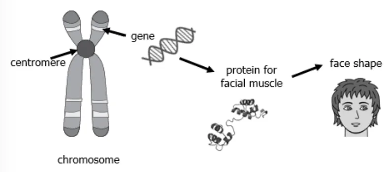 Unit 7 Bellringers Review 8th Grade Quiz | Wayground (formerly Quizizz)