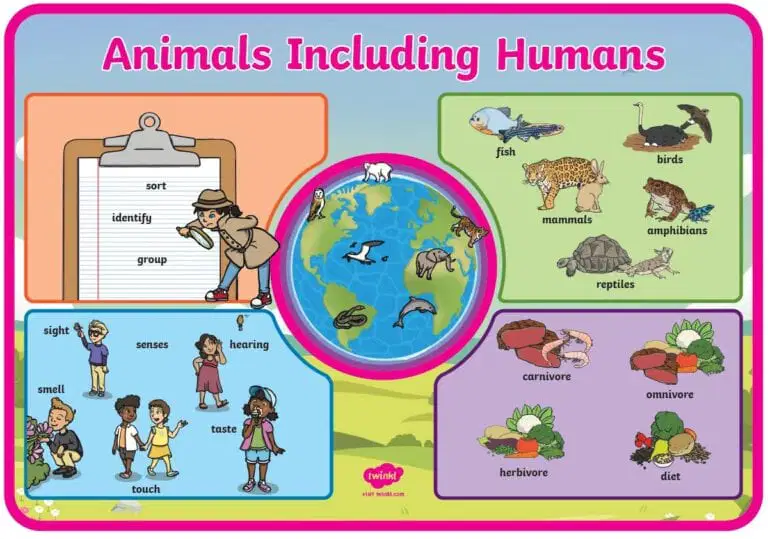 Science - Animals inc. humans Quiz
