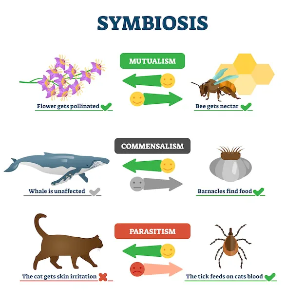 Interactions in the Ecosystems Quiz