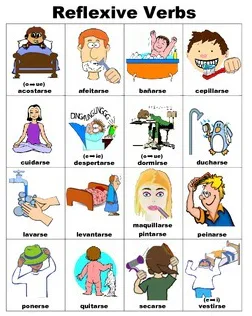 Mi Rutina Diaria - VERBOS REFLEXIVOS 12th Grade - University Flashcard ...