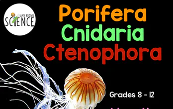Phyla Cnidaria & Ctenophora Assessment 11th Grade Quiz | Wayground ...