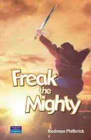 Freak the Mighty- Flashcard- Chapters 1-5 7th Grade Flashcard ...