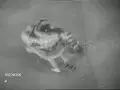 Barbara Ann Scott performs in American ice skating show in 1948 ...