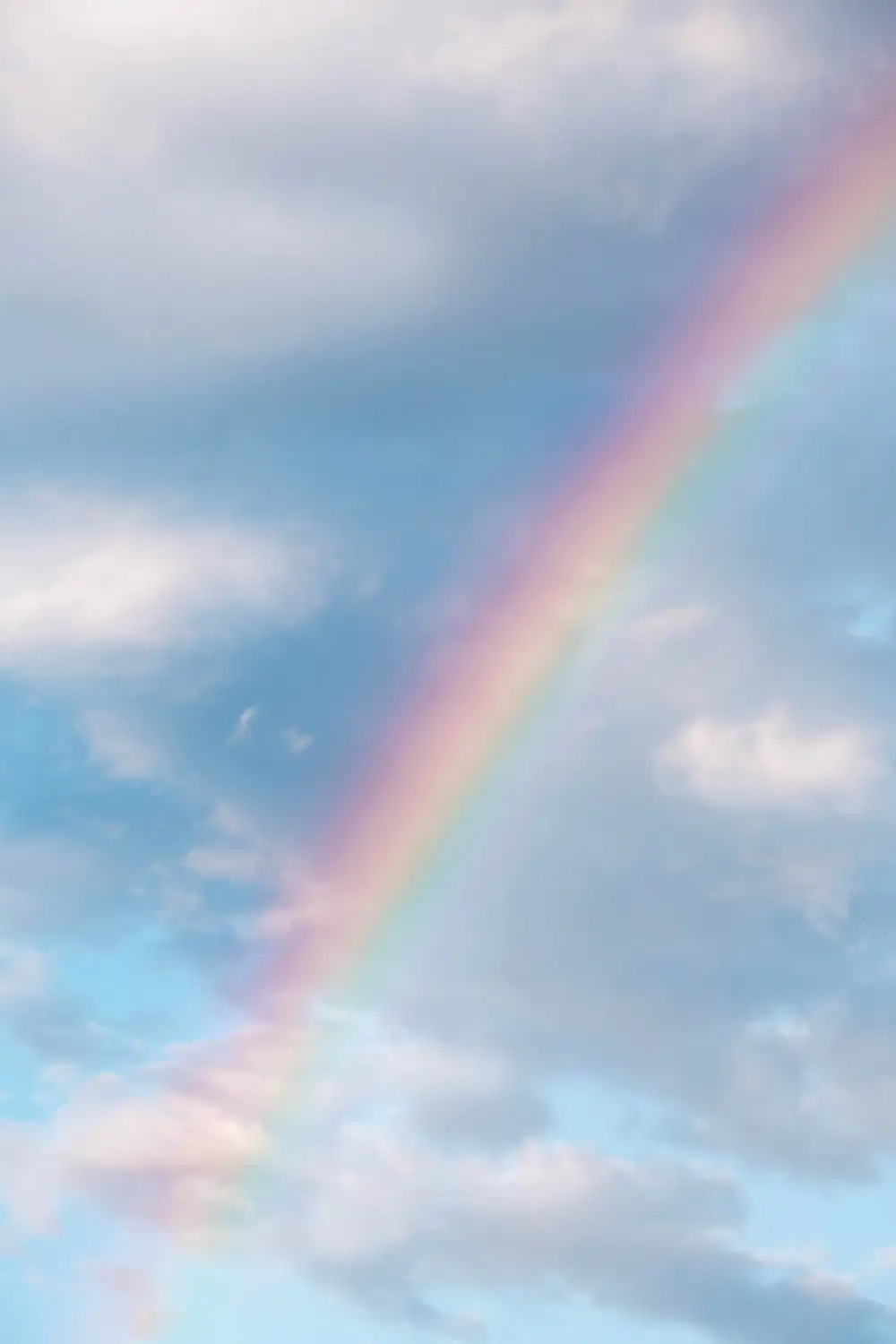 Colors of the Rainbow 2nd Grade Quiz | Quizizz