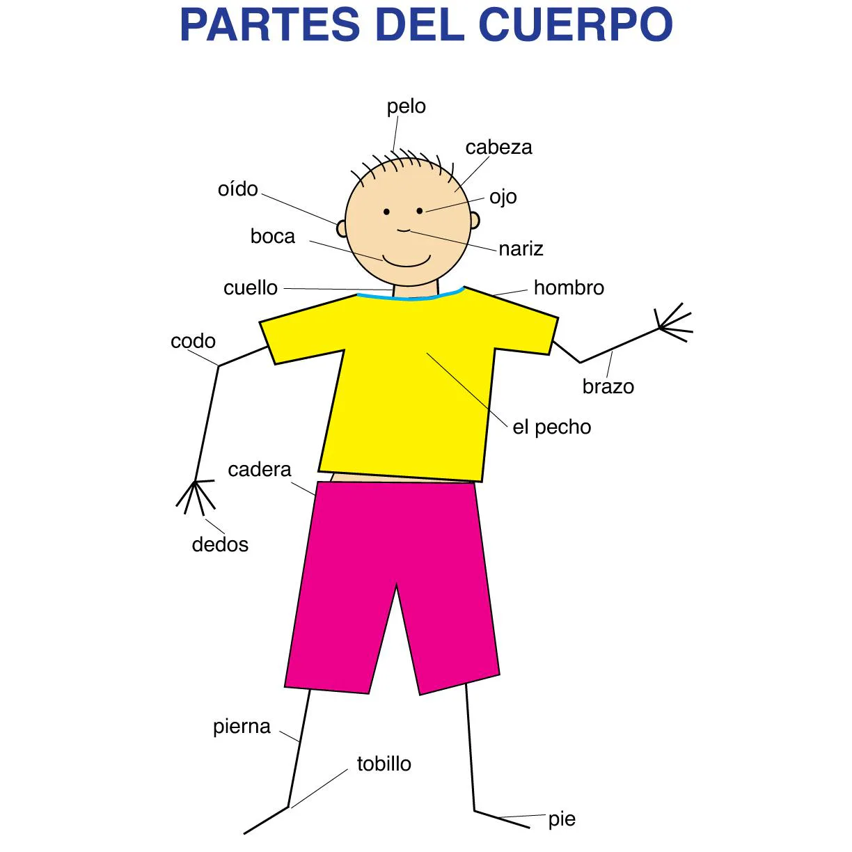 Spanish Body Parts review Quiz