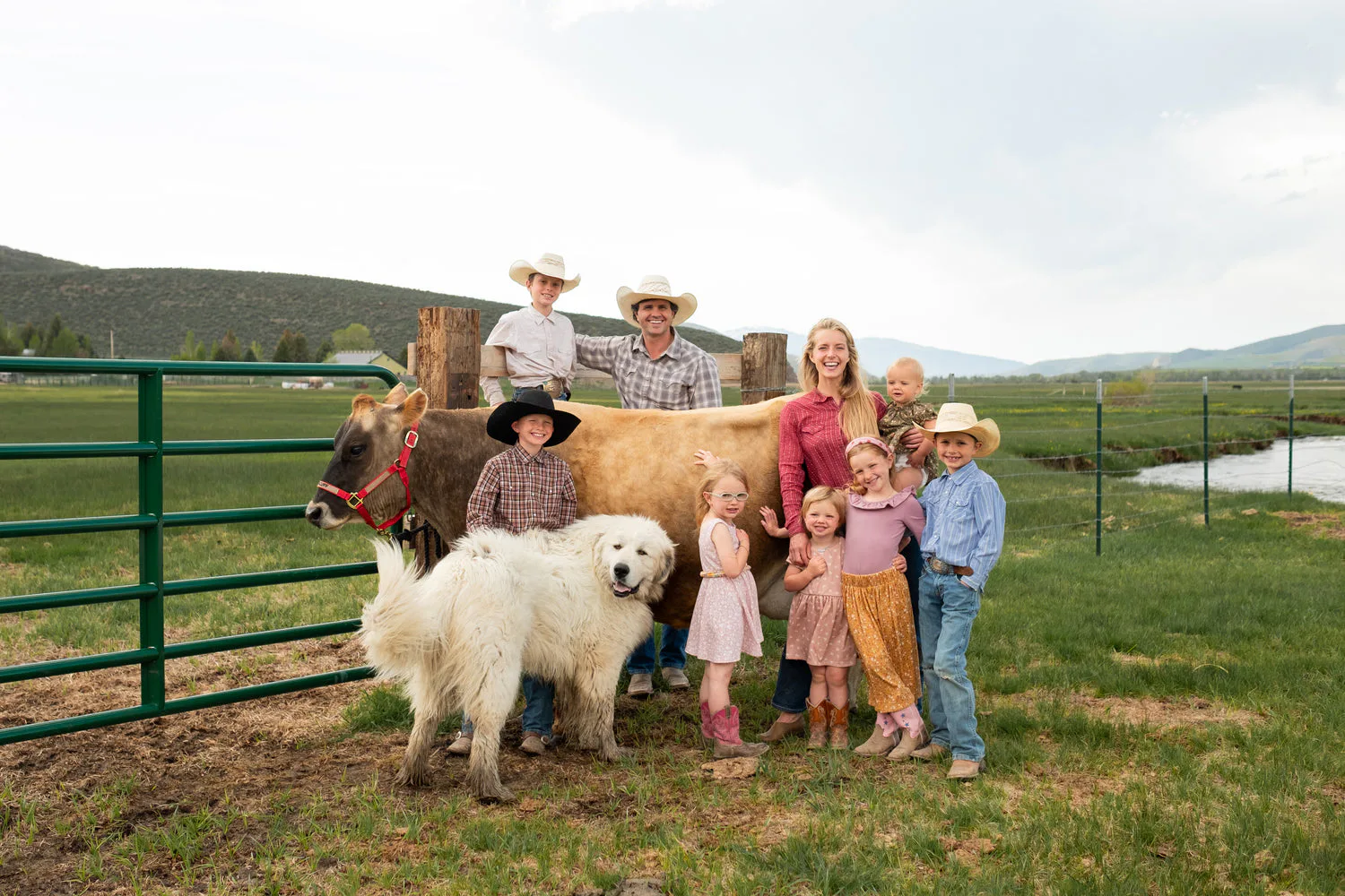 ANIMAL FARM CHAPTERS 1-2 ANALYSIS Quiz