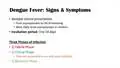 Dengue Fever | Pathophysiology, Symptoms, Diagnosis & Treatment ...