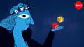 TED-Ed: Can you solve the cursed dice riddle? | Dan Finkel KG ...