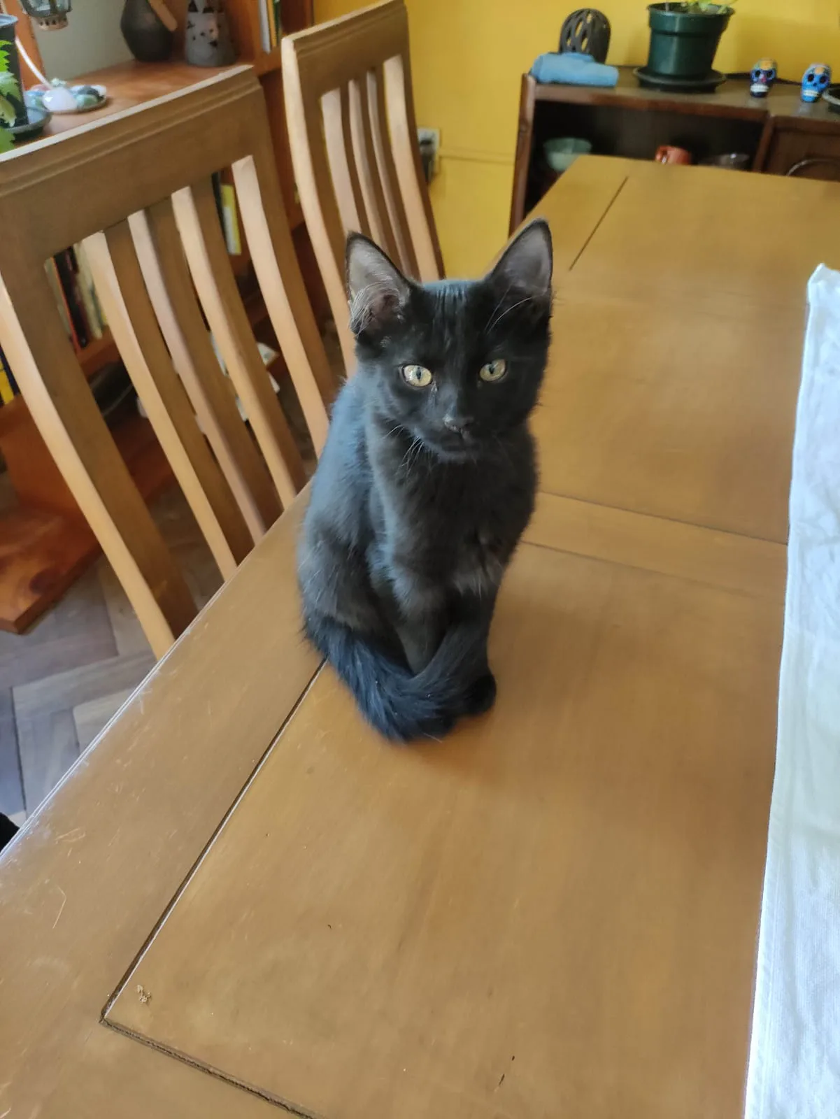 Evaluación de la clase Quiz