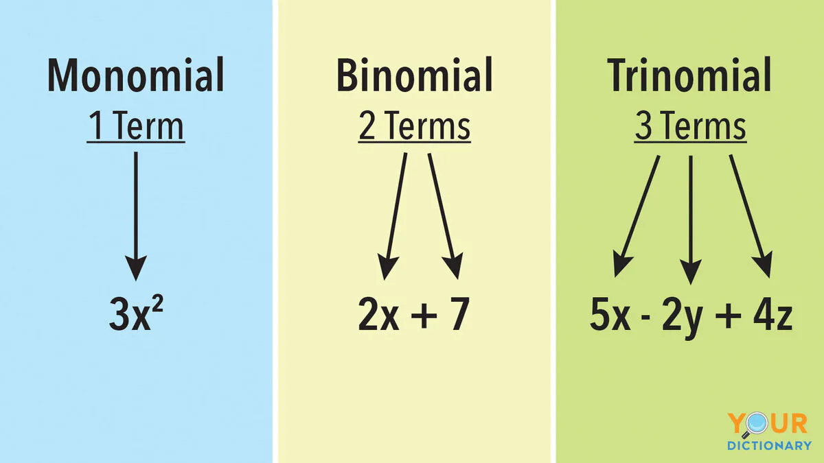 Monomials Laws of Exponents 8th - 11th Grade Quiz | Quizizz