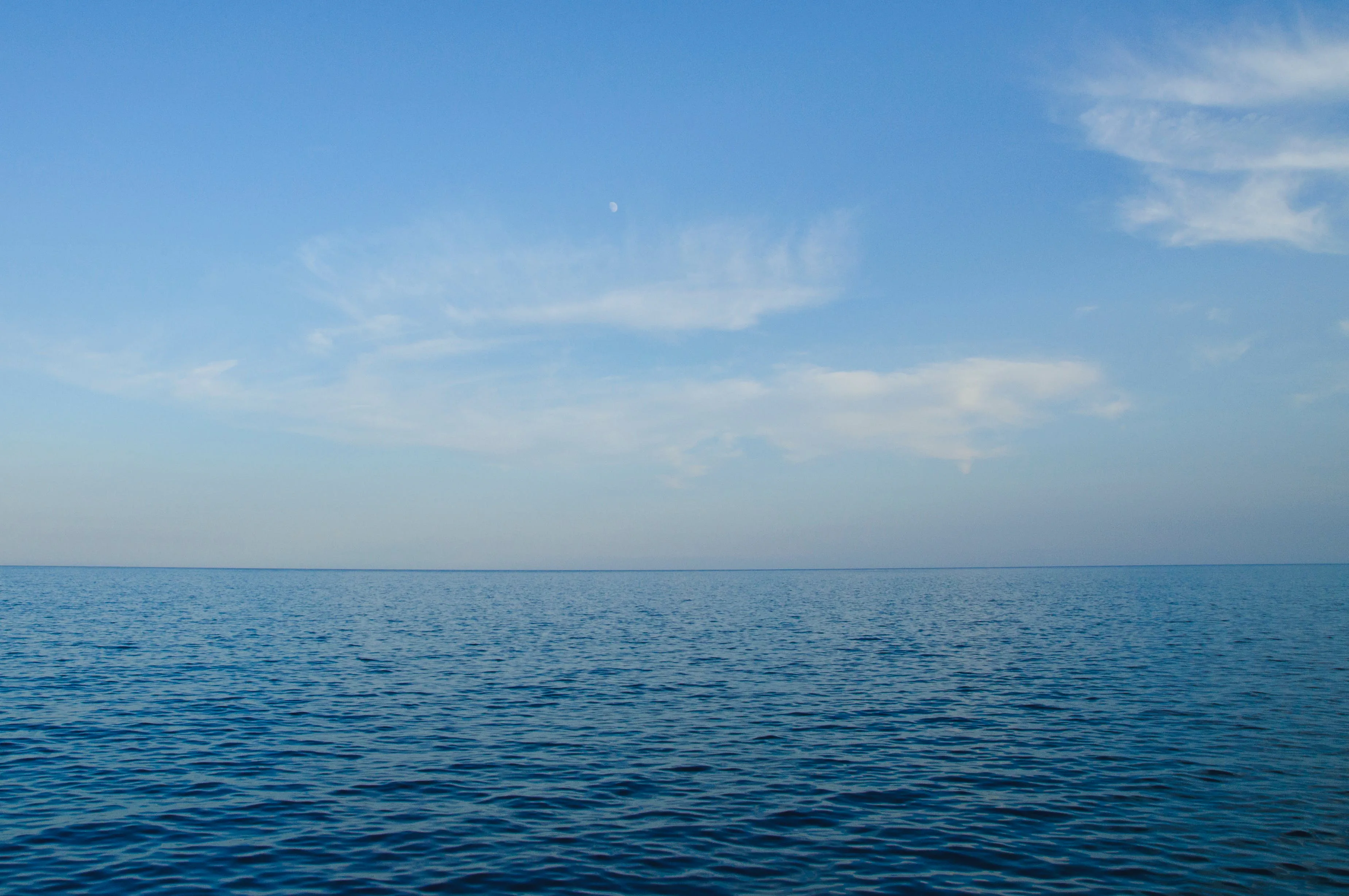 Hydrosphere and Water Distribution Review 5th Grade Quiz | Wayground