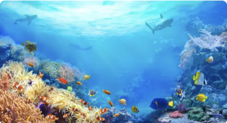 Science TEKS 8.12A - Disruptions Ecosystems Flashcard 8th Grade ...