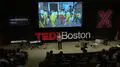 TED: The great penguin rescue | Dyan deNapoli 11th Grade - University ...