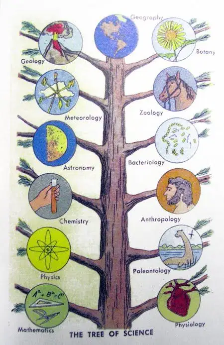 Branches of Science Quiz
