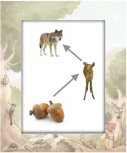 Ecosystems and Food Chains 3rd Grade Passage | Wayground (formerly Quizizz)