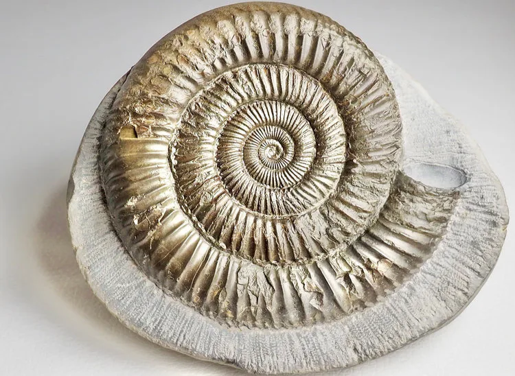 Isotope Calculations 10th - 12th Grade Quiz | Wayground (formerly Quizizz)