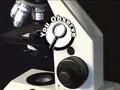 Lab Equipment Safety: Care of the Microscope 10th - 12th Grade Video ...
