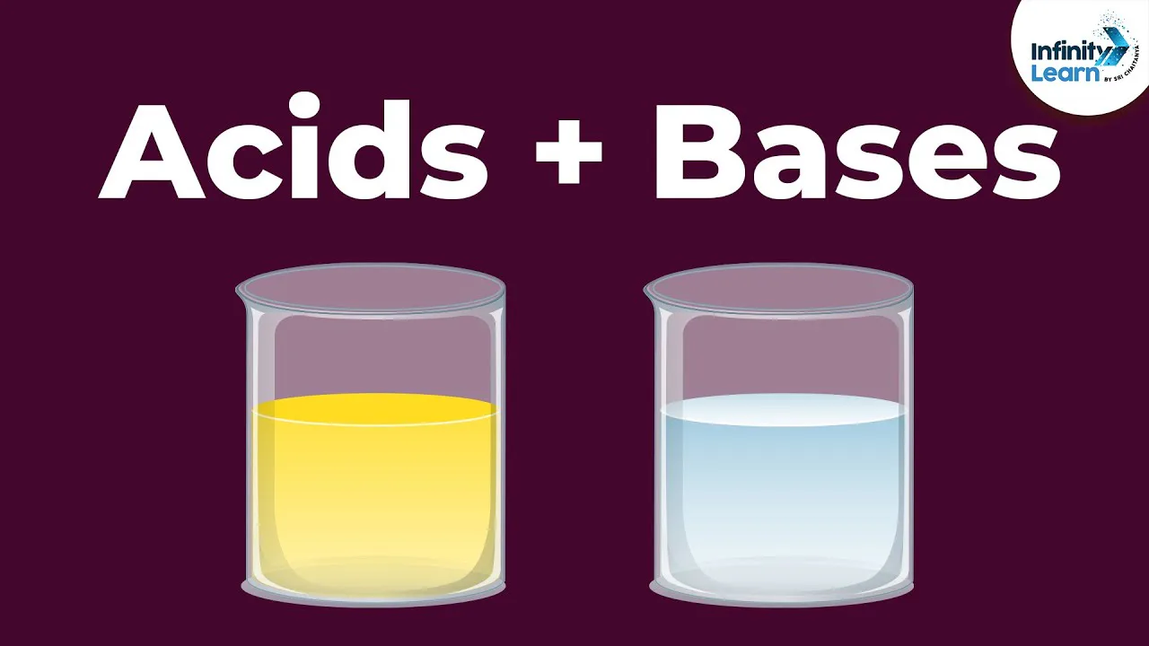 Acids and Bases Properties 8th Grade Quiz | Wayground