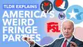 America's Weird, Small Political Parties Explained - TLDR News 11th ...