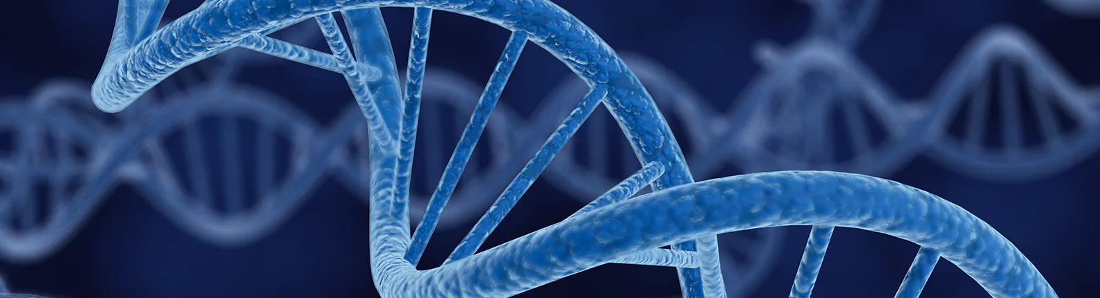 Genetics and Natural Selection Flashcard