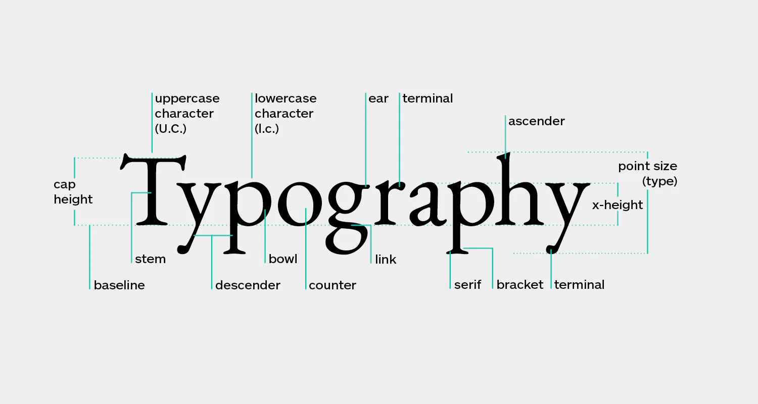 Graphic Design Components - Typography Professional Development Quiz ...
