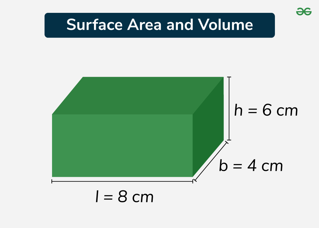 Surface Area and Volume 8th Grade Quiz | Quizizz