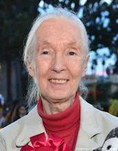 JANE GOODALL Quiz