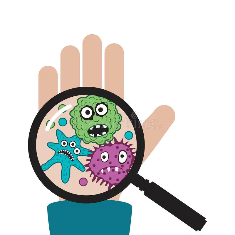 Different types of germs 3rd Grade Quiz | Wayground
