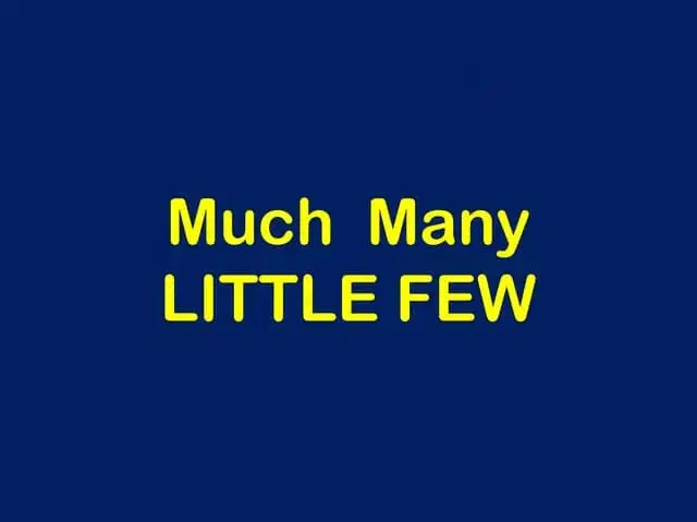 much/many, little/few 1st - 5th Grade Quiz | Wayground