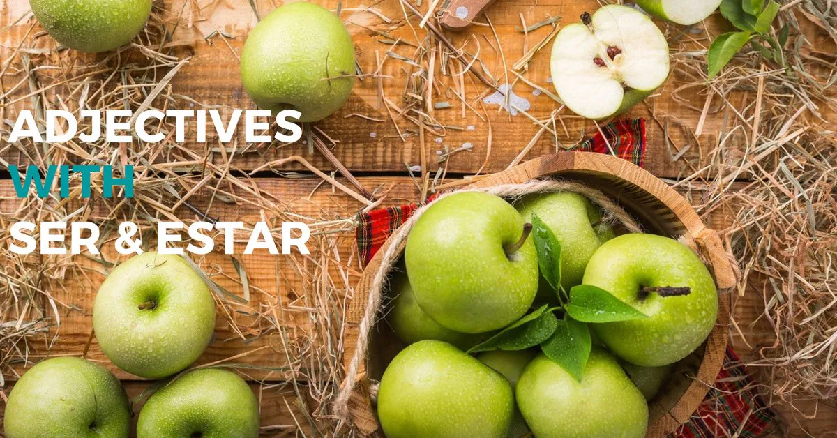 SER, ESTAR, & ADJECTIVES 9th Grade Flashcard | Wayground