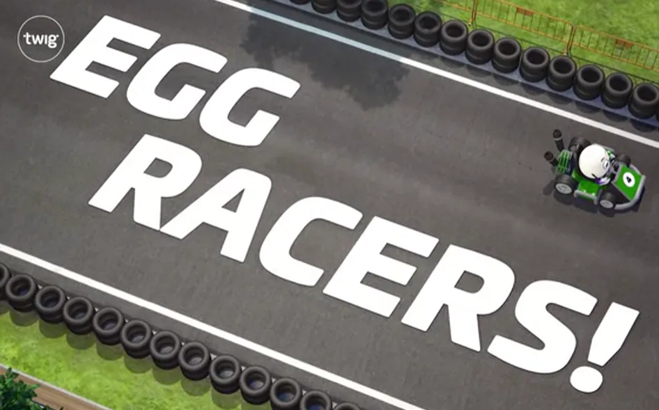 Twig Egg Racers Module Review Flashcards