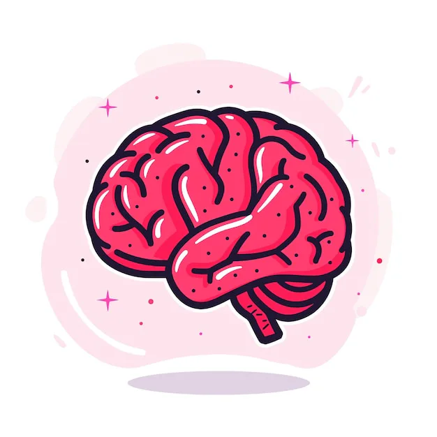 Brain and Central Nervous System (Health) 5th Grade Flashcard | Quizizz