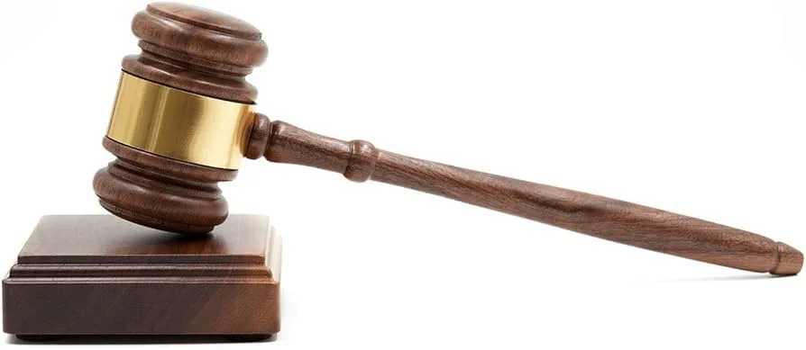 2019 National Parliamentary Procedure Test (FFA) Flashcards