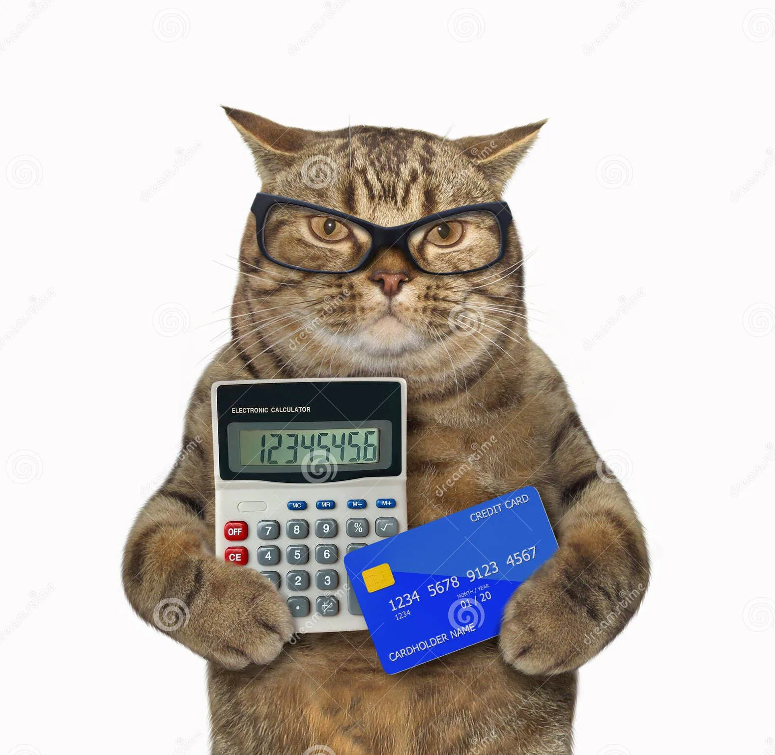 Adding Integers Practice Quiz