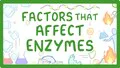 GCSE Biology - Enzymes - How Temperature and pH Affect Rate of Reaction ...