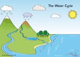 Unit 11 Water Cycle Assessment Quiz