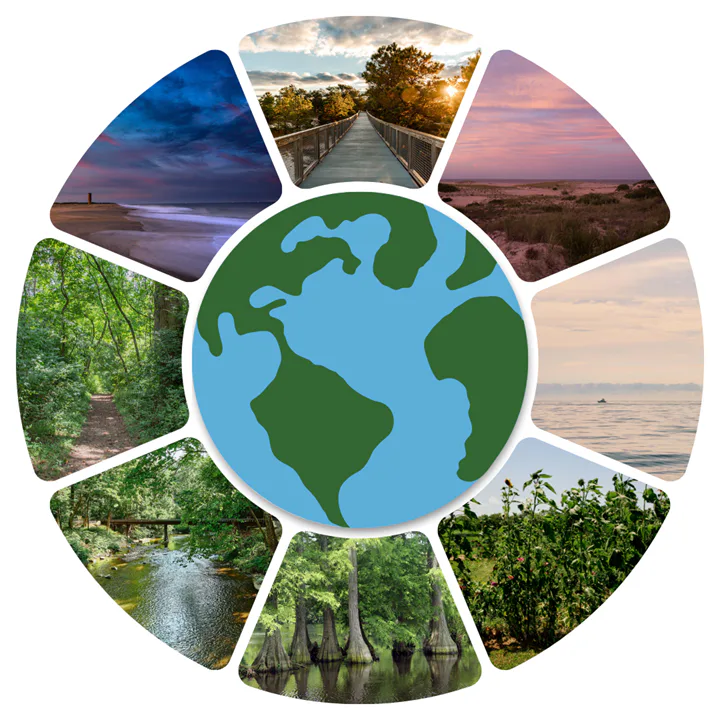 Global Resource Management Vocabulary 6th Grade Flashcard | Quizizz