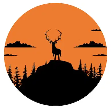 going deer hunting Flashcards