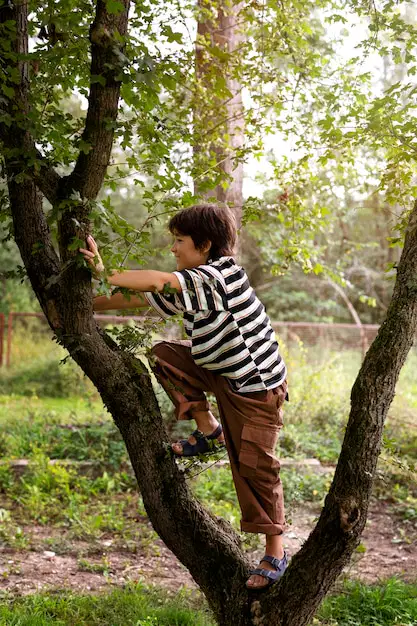 9 Climb Trees Quiz