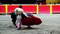 CLEAN : Botero protege bullfighter returns home Interactive Video