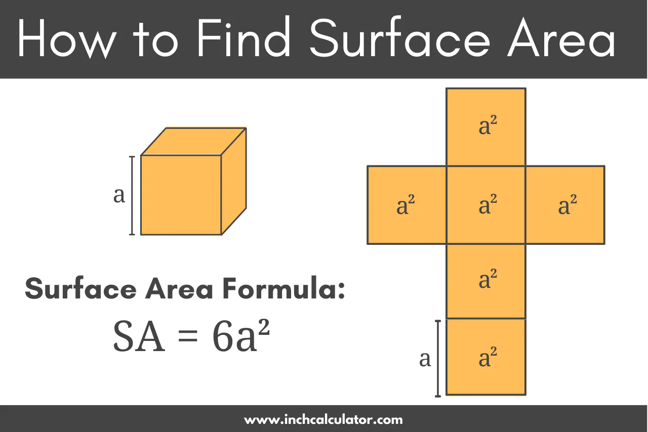 surface area review 6th - 8th Grade Quiz | Quizizz