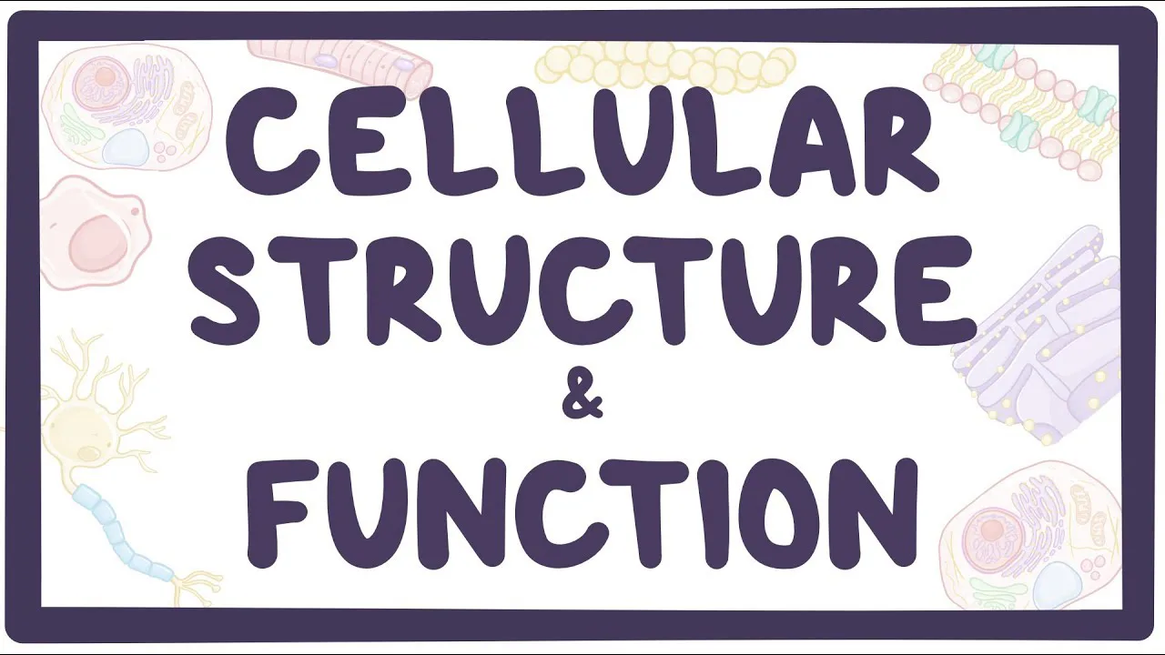 Cell Structure and Function Quiz