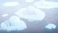 Architect’s floating igloos would protect penguins and cool sea ice ...