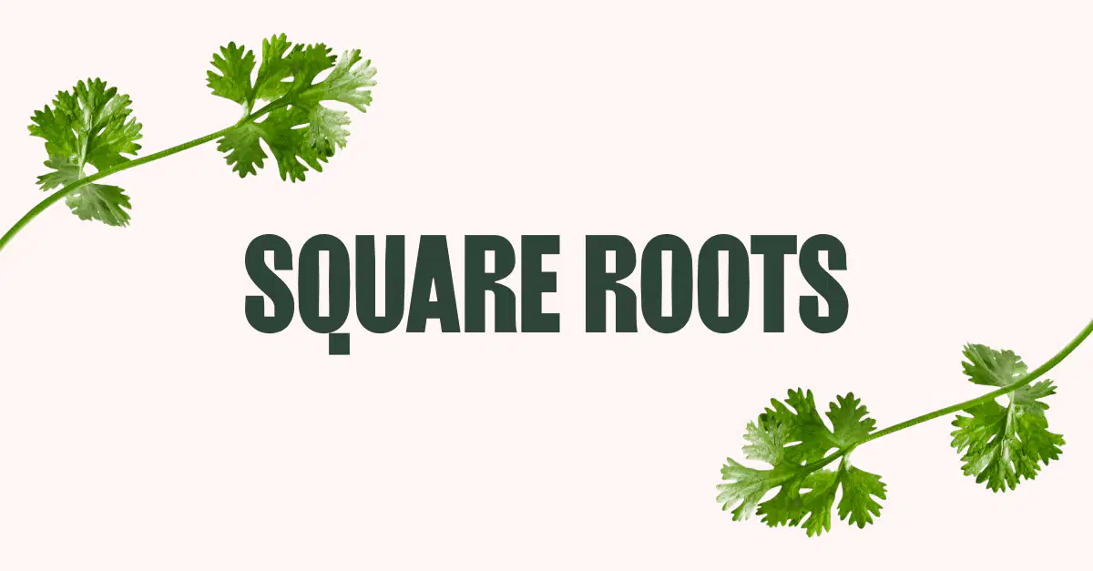 Square and Square Roots Quiz